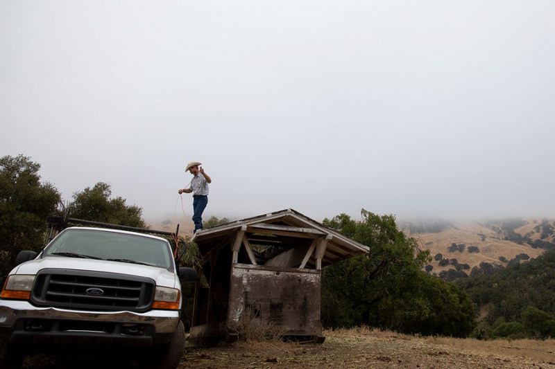 About J Bar S Ranch | A Northern California Grass-Fed Bison Ranch