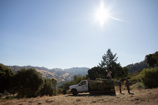 About J Bar S Ranch | A Northern California Grass-Fed Bison Ranch