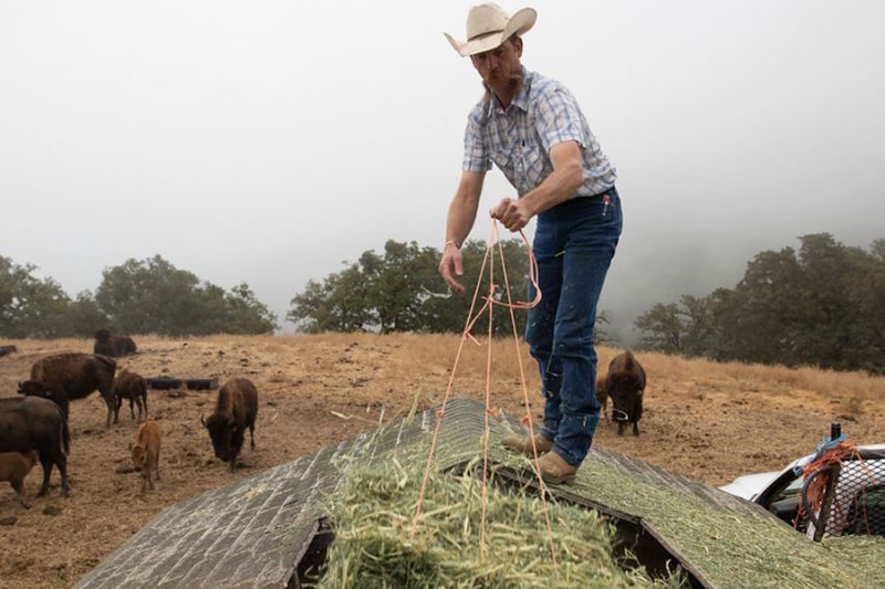 About J Bar S Ranch | A Northern California Grass-Fed Bison Ranch