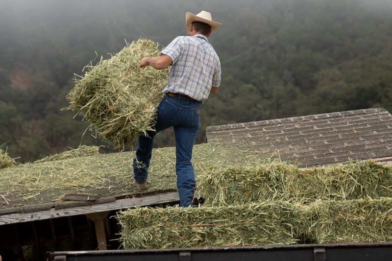 About J Bar S Ranch | A Northern California Grass-Fed Bison Ranch