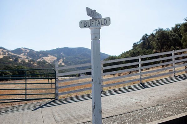 About J Bar S Ranch | A Northern California Grass-Fed Bison Ranch