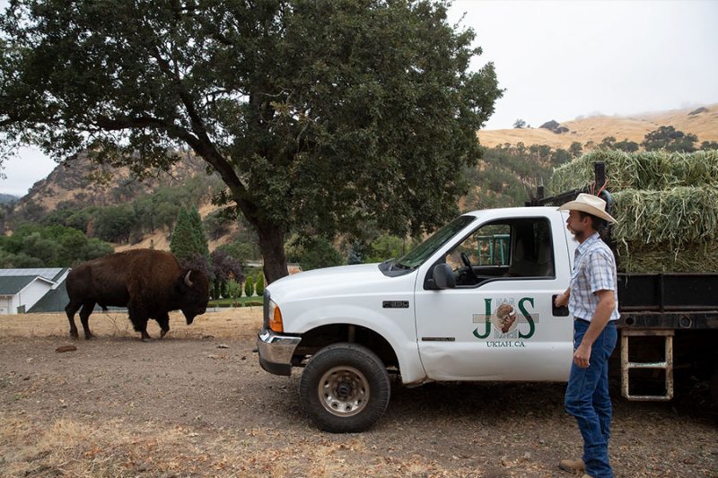 About J Bar S Ranch | A Northern California Grass-Fed Bison Ranch